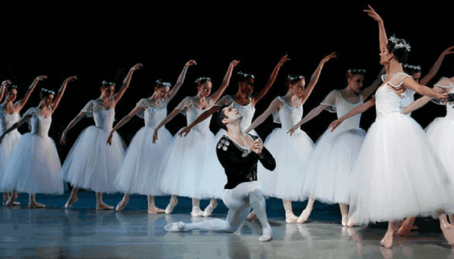 Festivals in Italy: A Journey Through Culture and Traditions